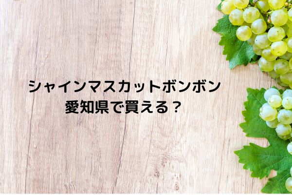 シャインマスカットボンボンの販売店はどこ？値段(定価)はいくら？